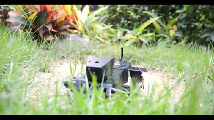 Corgi Robot Dog - Intelligent Programming & AI Vision