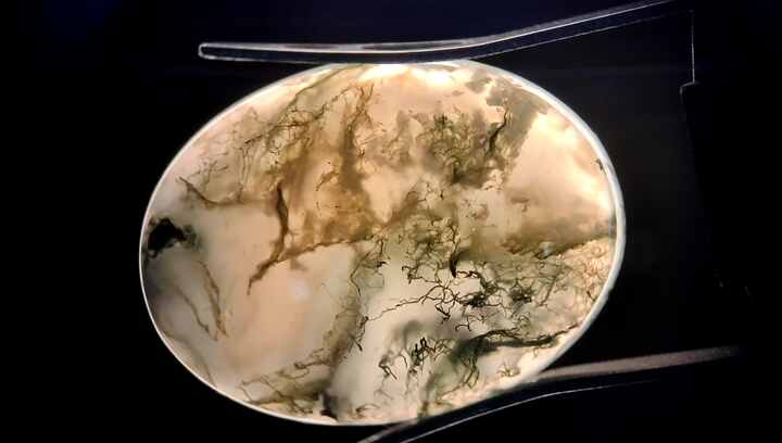 Multi - Functional Fable Gem Microscope, Professional Jewelry ...