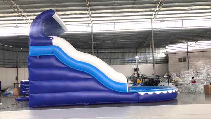 Custom Large Inflatable Big Water Slide for Kids Adults Super Fun ...