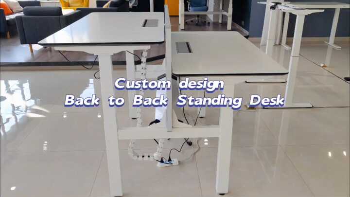 ZGO Ergonomic Dual Motor Sit Stand Adjustable Standing Desk Electric ...