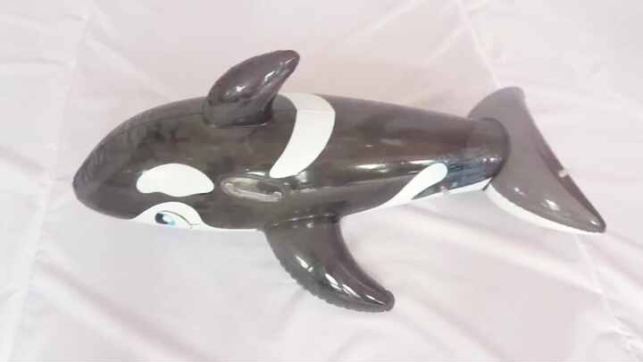 Inflatable PVC Whale Pool Float - Wholesale & Customized Fun