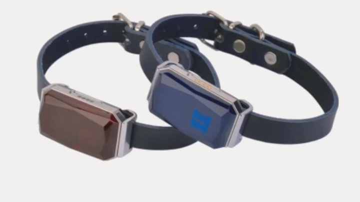 Pet Smart Gps Tracker Dog Tracker Gps Ip67 Waterproof Mini Anti-loss ...