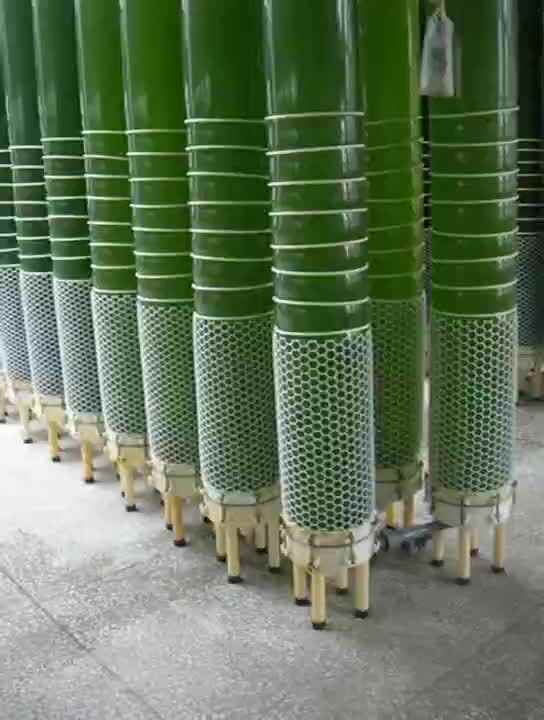 Chlorella Algae Photobioreactor - Efficient Growth Solutions