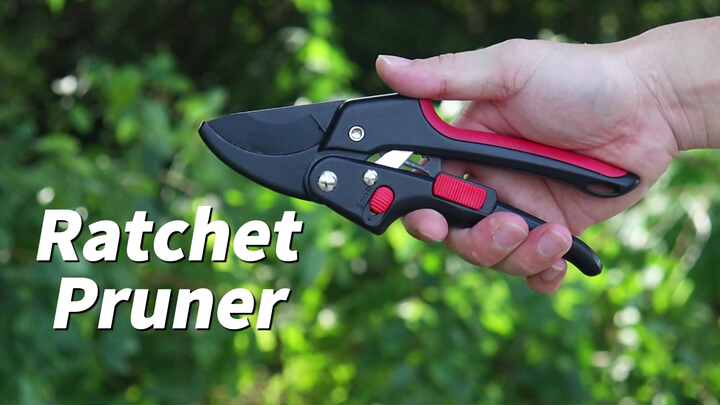 SUNSHINE Garden Ratchet Heavy-Duty Tree Trimmers & Pruners