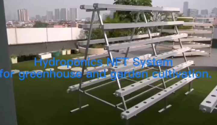 Square Hydroponic Tube Pipe - Efficient Strawberry Growing