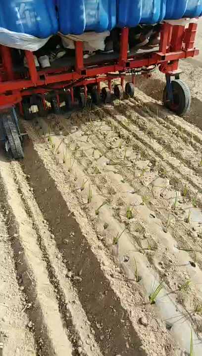 Efficient Transplanting Machine for Seedlings - Video Inspection