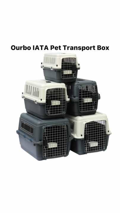 Scatola IATA - Plastic Pet Dog Carrier for Airline Travel