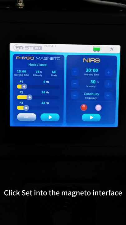 Magneto Machine Horses Therapy Machine PEMF Equine Magnetic Therapy ...