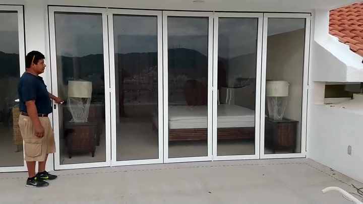 Low-e Glass Folding Doors for Rooms - Black & Mosquito Net