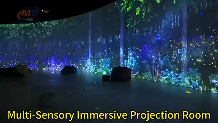Big Screen 3D Immersive Projector Create Immersive Virtual Environments ...
