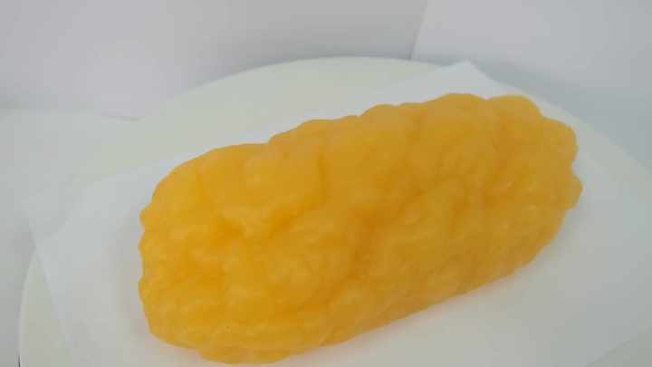 2lbs Anatomical Fat Model - Realistic TPR Body Model for Medical ...