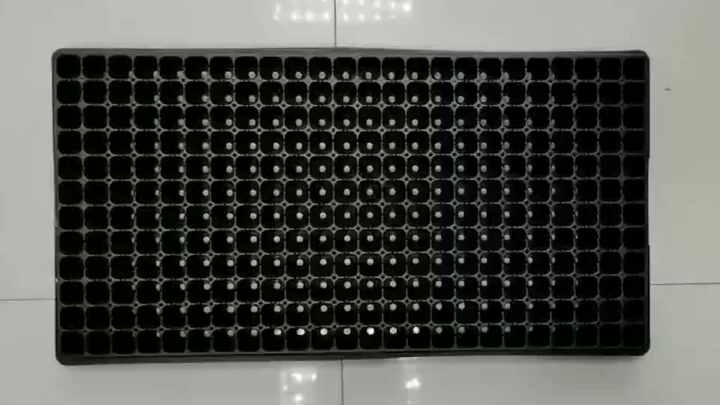 Polystyrene Plastic Seed Trays - Efficient Nursery Solutions