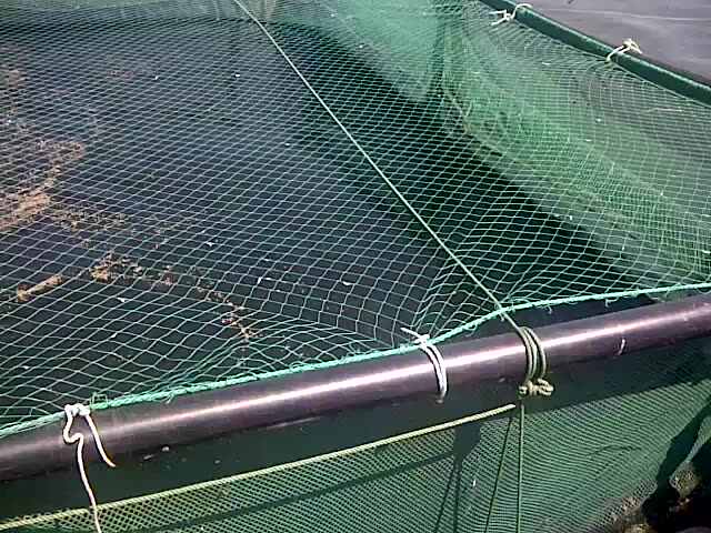 Qihang Aquatec Floating Fish Cages - Durable & Customizable