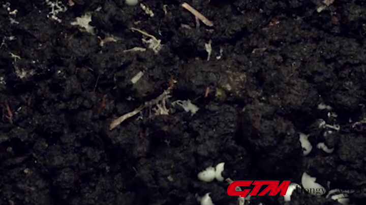 mushroom growing peat moss casing soil mixing machine| Alibaba.com