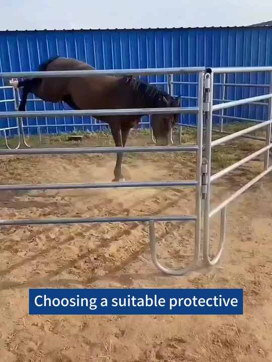 Galvanized Metal Horse Paddock Fence Horse Racing Fencing Steel Cheap ...
