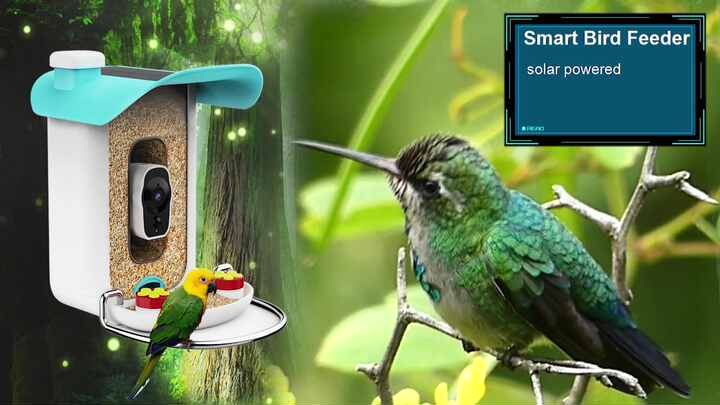 Wholesale Outdoor AI Bird Identification Solar Powered Waterproof Smart ...
