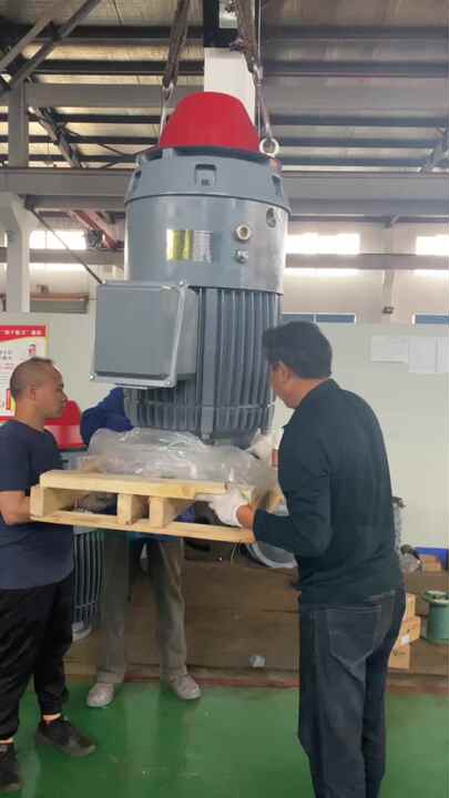 400 HP Vertical Hollow Shaft Induction Motor for General Machinery