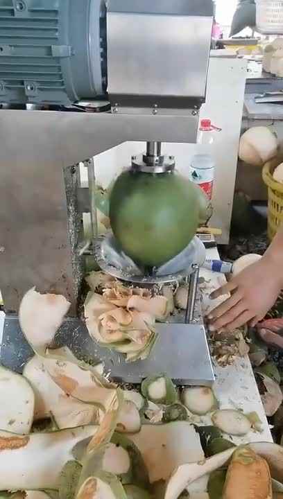 Automated Peladora De Coco Coconut Testa Meat Peeler Pealer Peeling ...