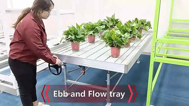 Greenhouse 4x8 Flood Rolling Bench - Hydroponic Growing Table