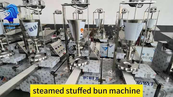 Robust Automatic Dim Sum Maker: Streamlined Baozi, Momo, Siopao ...
