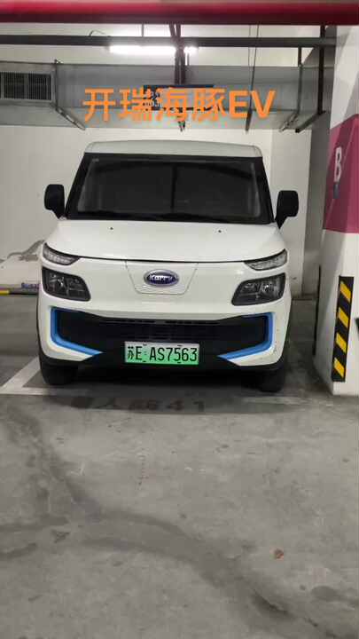 KARRY Dolphin EV VAN - Intelligent Enjoyment Electric Car