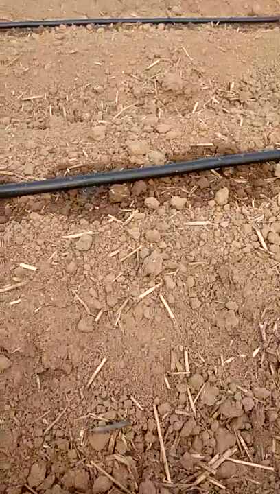 Plentirain Drip Tape - Efficient Irrigation for 2 Hectares