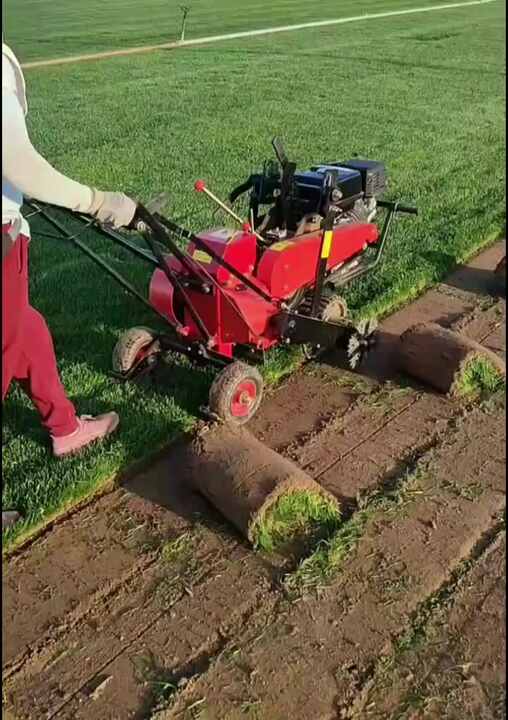 Manual Cutter For Garden Turf Grass Cutting Hand Push Roller Lawn Sod ...