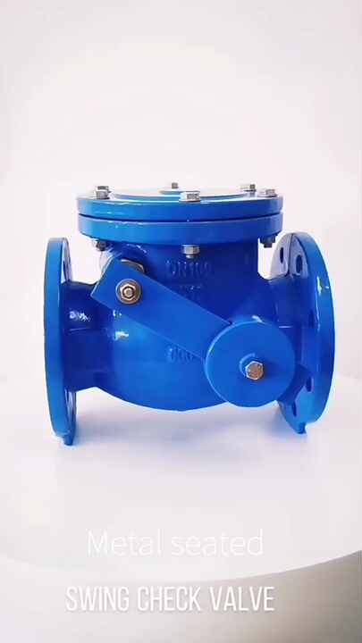Ductile Iron Swing Check Valve With Weightlever Dn40-dn800 Swing Type ...