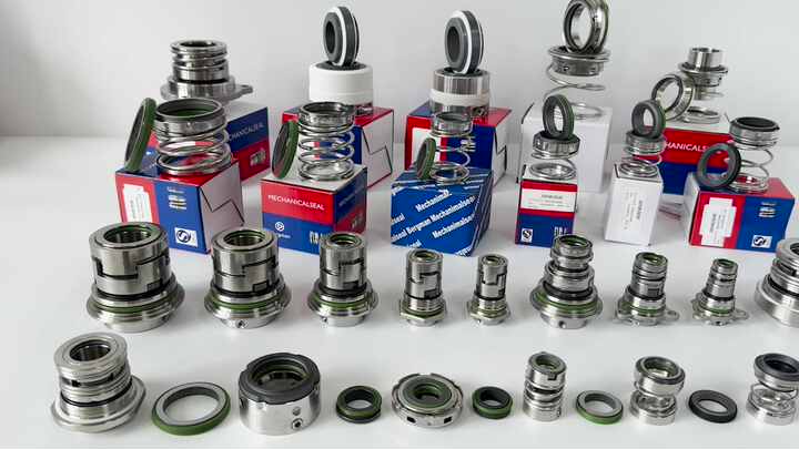 Spot the Original Chm-19mm Mechanical Seal for Rotary Pumps