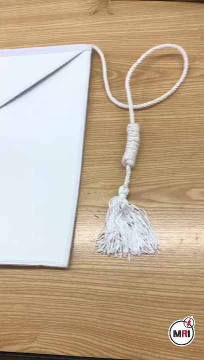 Masonic Regalia Plain White Apron Masonic MM PM Customized Plain or Embroidered Custom Ribbon or ...