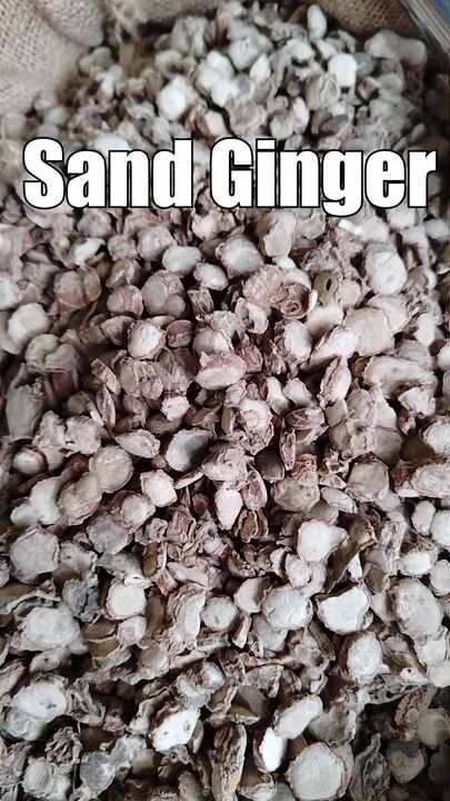 Sand Ginger Dry Sand Ginger Kaempferia Galangal Slice Food Seasoning ...
