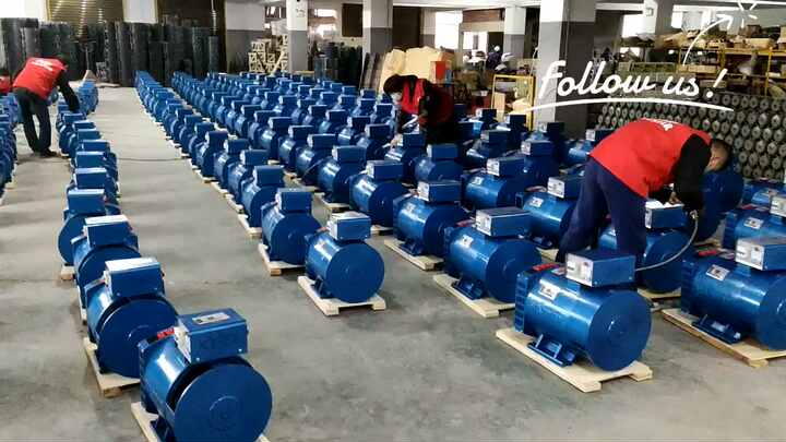 ST-3 Single Phase Alternator - 220V 230V 3KVA Copper