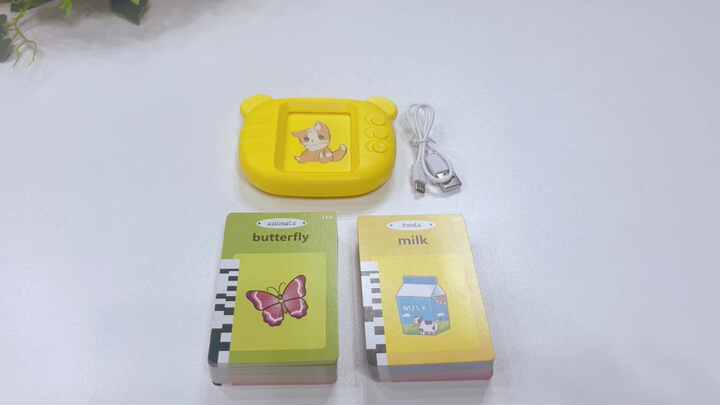 Customize Language 112 Cards/words Talking Flash Cards for Toddlers