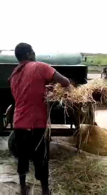 125 Type Sesame Thresher Threshing Cumin Anise Rapeseed Large Thresher ...