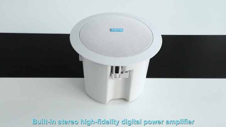 Public Address System - IP Speakers with RJ45 Interface