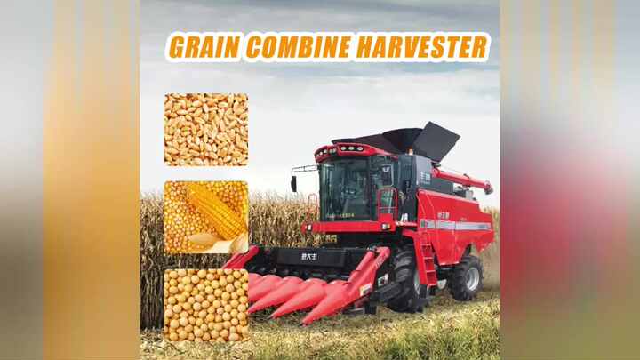 Multi-function Grain Combine Harvester Wheat Maize Soybean Sunflower ...