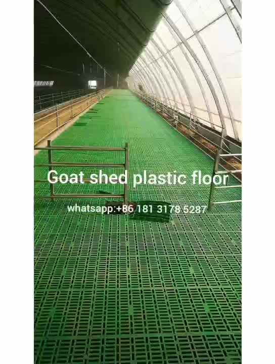 Plastic Goat Flooring - Durable & Easy to Clean Solutions