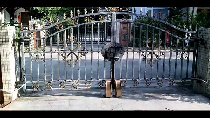 Smart 400KG Single Leaf DC 24V Electric Wheel Rolling Swing Gate Motor ...