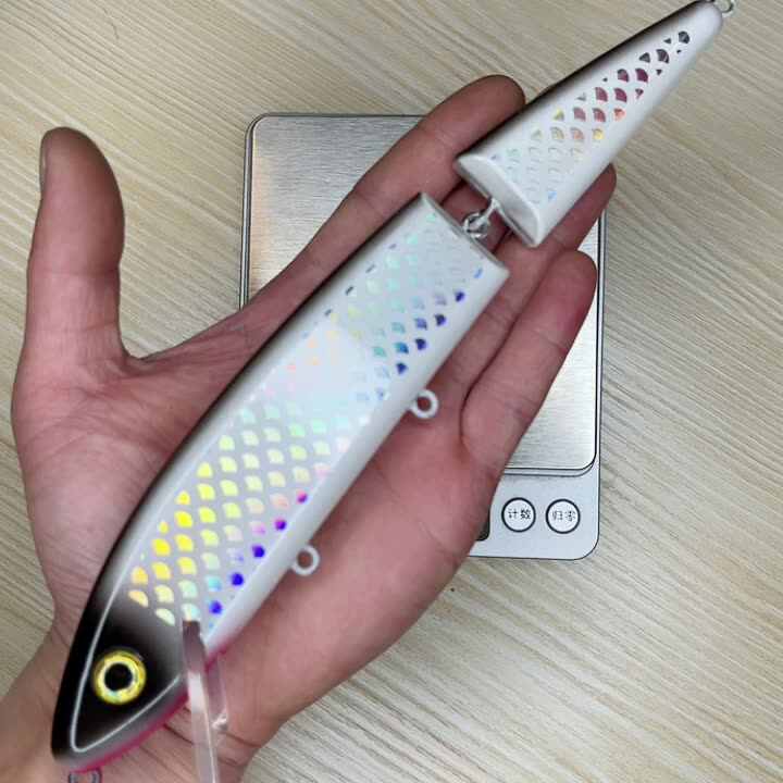 Big Minnow Lure - Jake Baits for Freshwater & Saltwater