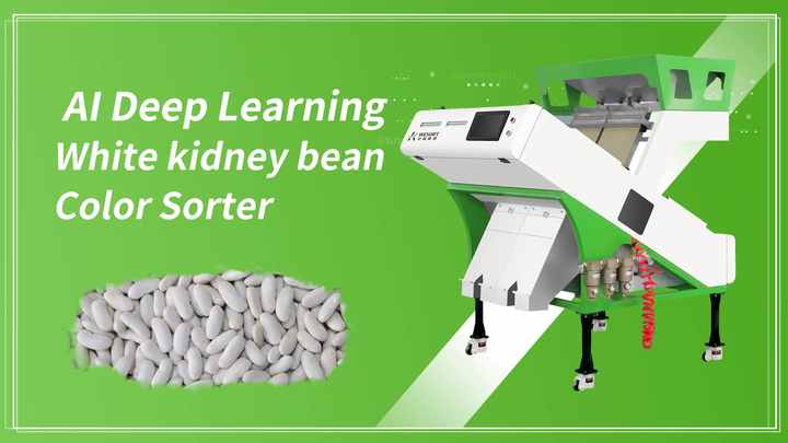 White Pea Beans & White Kidney Beans Wholesale Color Sorter