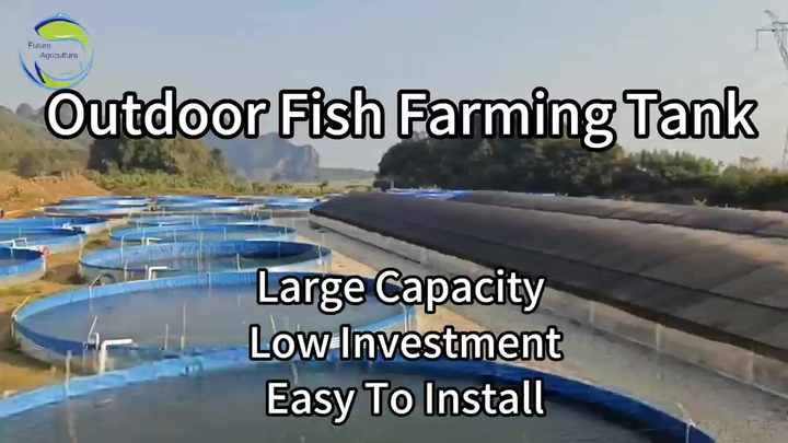 Low Investment Fish Pool Farming High Income Fish Farming Tank System ...