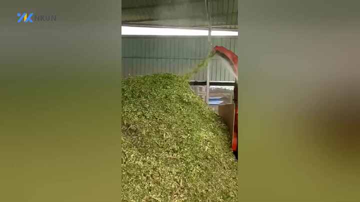 Hay Chaff & Napier Grass Chopper Machine - Efficient Cutting