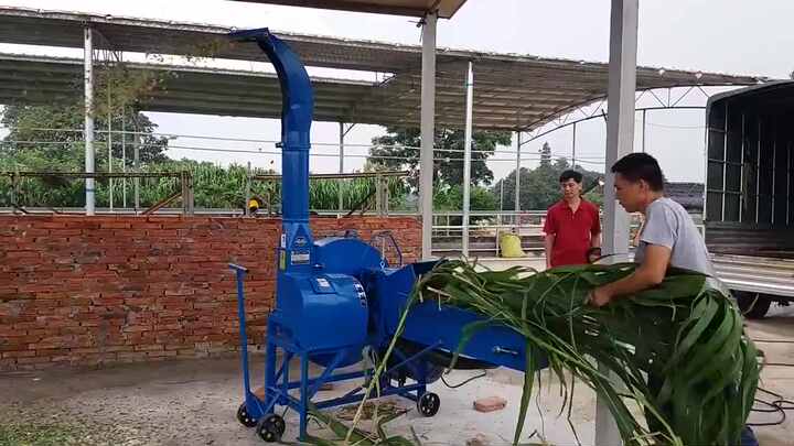 Cow Straw Feed Cutting Machine - High Productivity Chaff Cutter
