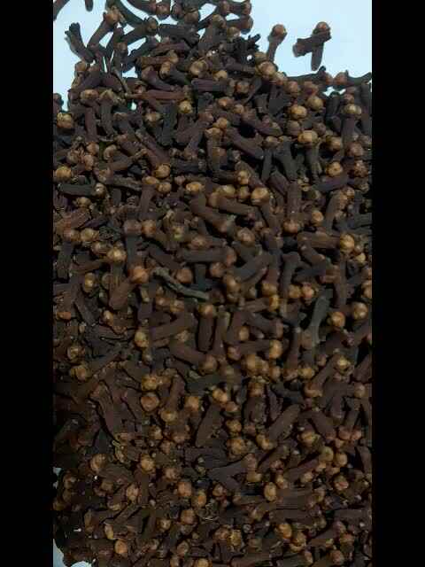 Indonesia Cloves - Premium Quality Direct from Factory