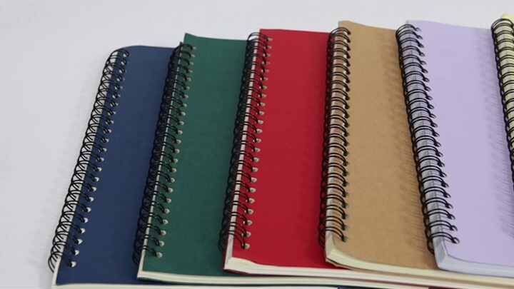 Cheap School Notebook Journal Diary Notebooks - Spiral Binding
