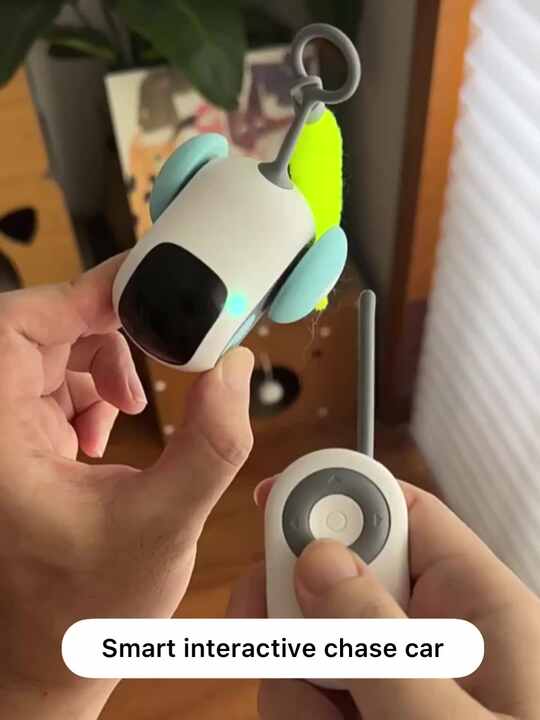 Funny Smart Interactive Cat Toy - Automatic Mouse Chaser