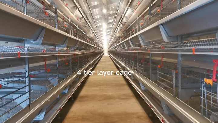H Type Poultry Egg Layer Battery Cages System for 10000 Birds