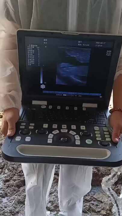 Vet Ultrasound DP 50 Mindray Veterinary Ultrasound Portable Color ...