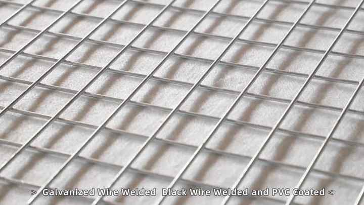 50x50 Galvanized Welded Wire Mesh Panel and Fence Wire Mesh