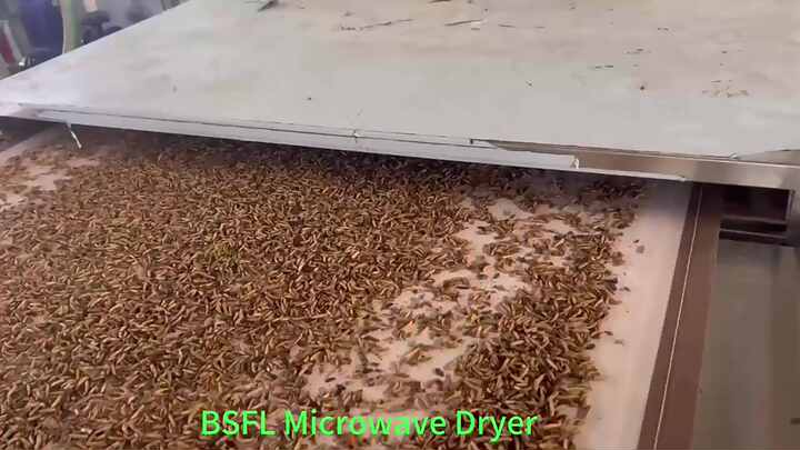 Microwave Black Soldier Fly Larve Drying Machine With PP Trays For ...